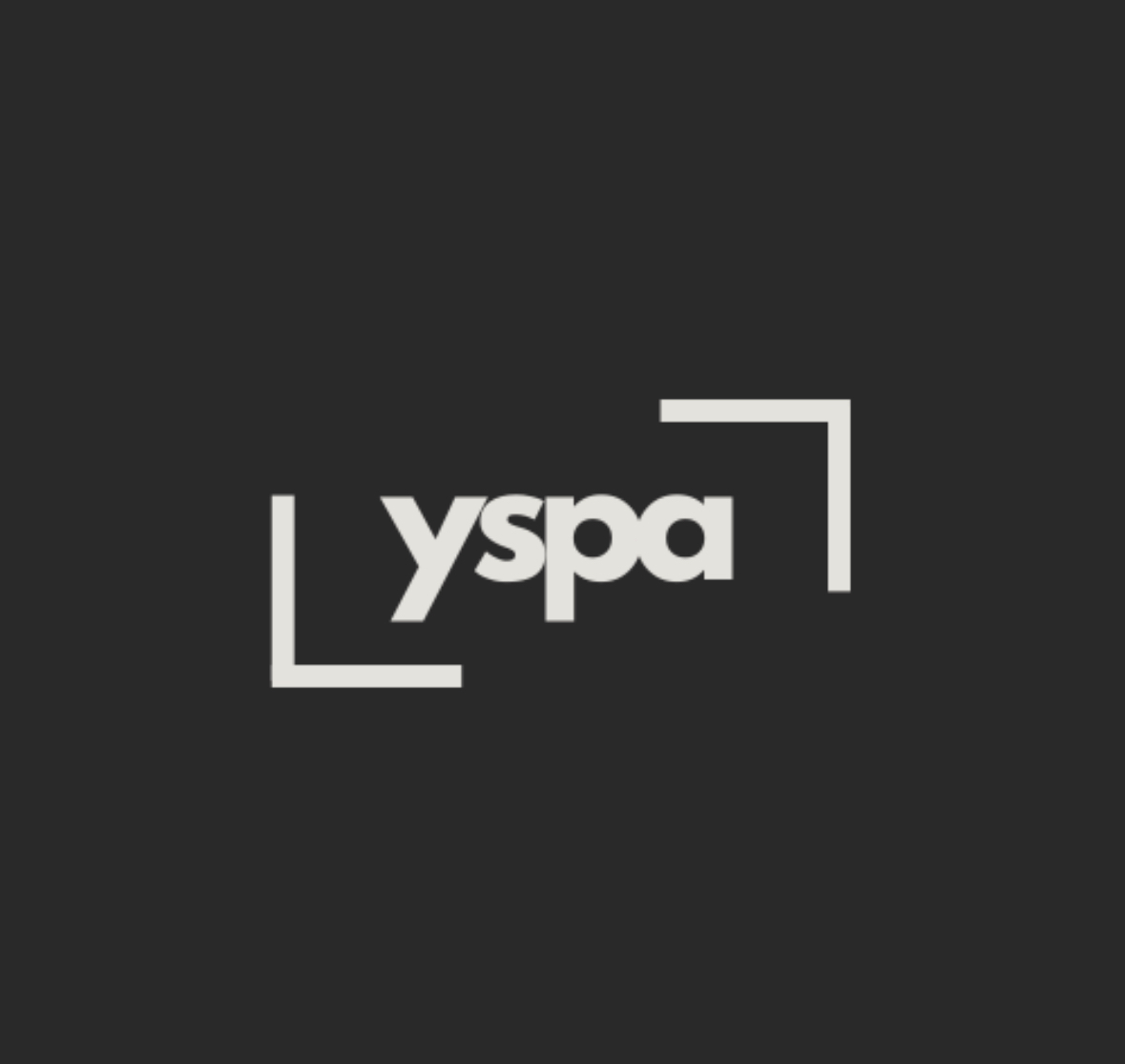 YSPA – Young Security Professionals Academy | Accelerator & Incubator